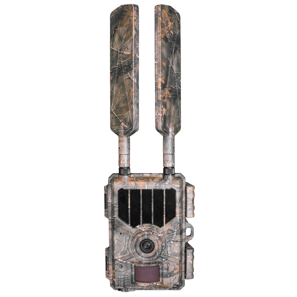 WiseEye Trail Cameras - Capture Wildlife Moments